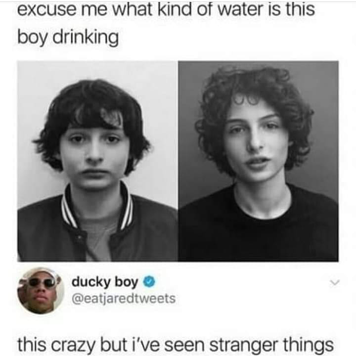 75 Stranger Things Memes That Perfectly Sum Up The Show