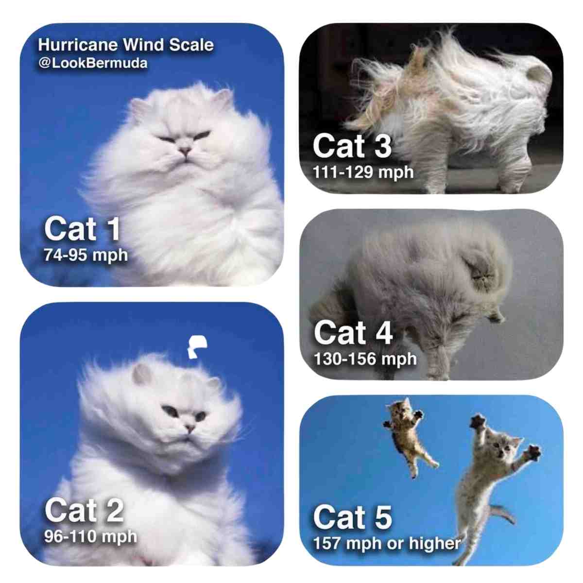 20 Hilarious Hurricane Memes To Weather The Storm