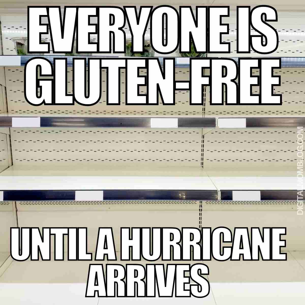20 Hilarious Hurricane Memes To Weather The Storm