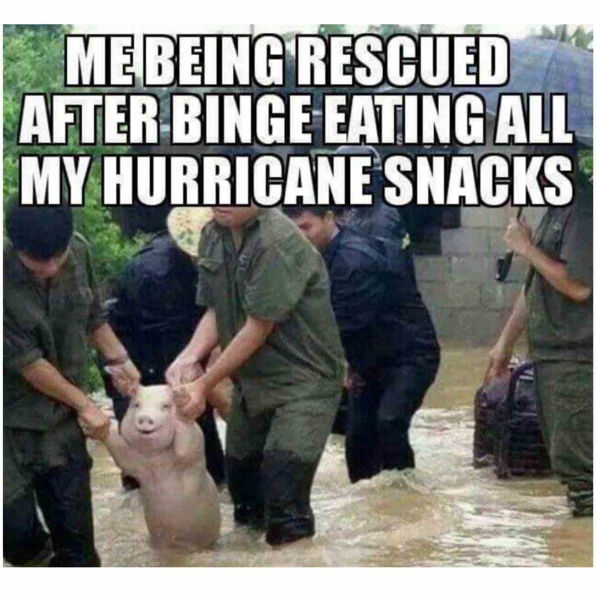 20 Hilarious Hurricane Memes To Weather The Storm