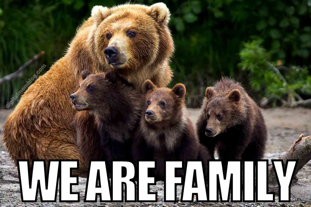 50 Hilarious Family Memes To Share In The Fam Group Chat