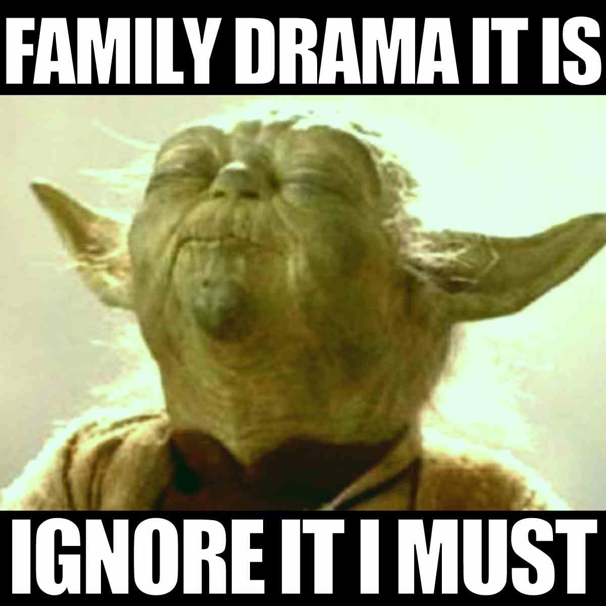 50 Hilarious Family Memes To Share In The Fam Group Chat