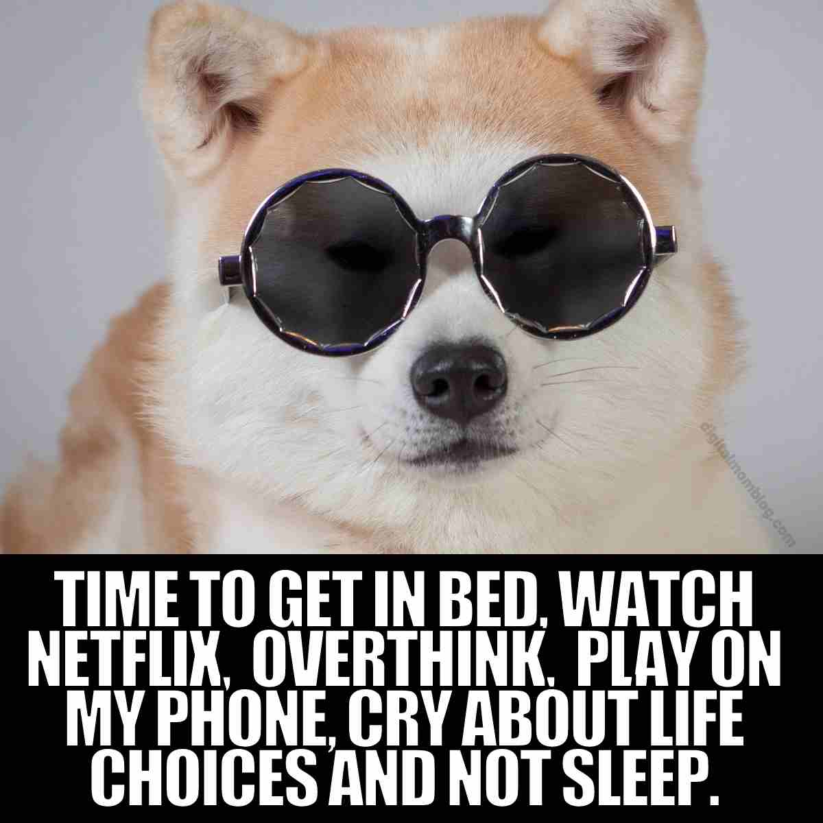 Funny Insomnia Memes For 3am Laughs When You Cant Sleep