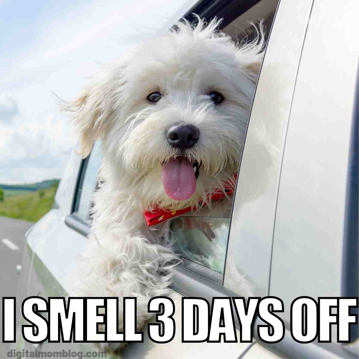 Long Weekend Memes: When 3 Days Off Feels Like Heaven