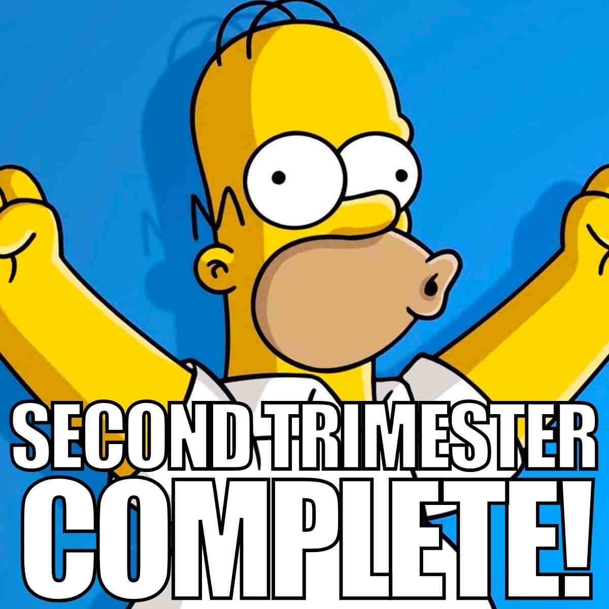 50 Hilarious Pregnancy Memes Every Mom-to-Be Will Relate To