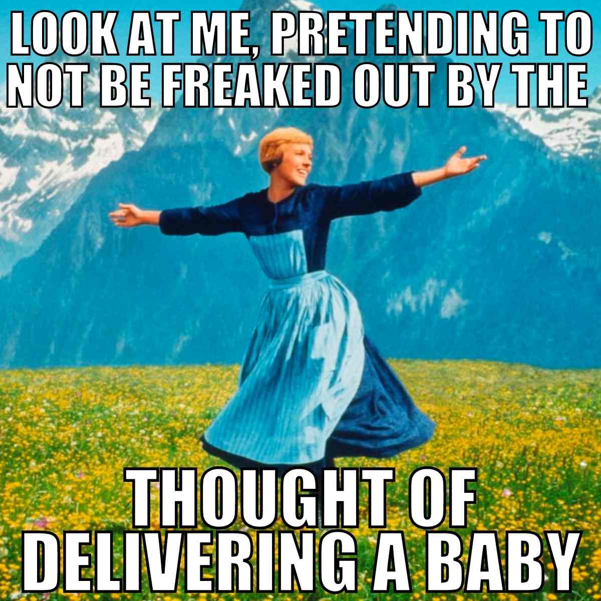 50 Hilarious Pregnancy Memes Every Mom-to-Be Will Relate To
