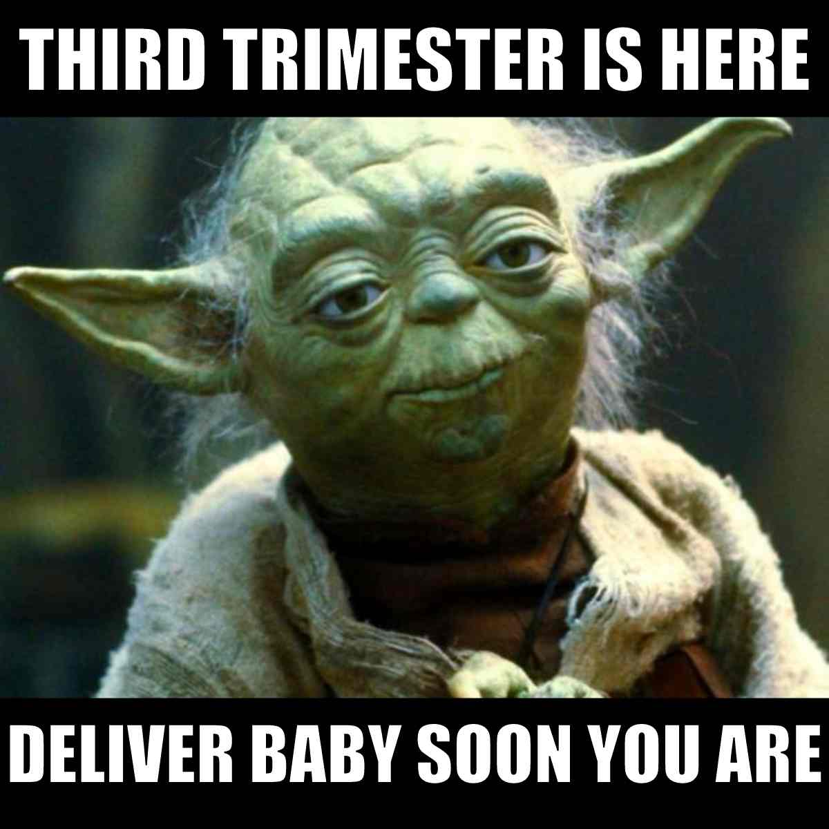 50 Hilarious Pregnancy Memes Every Mom-to-Be Will Relate To