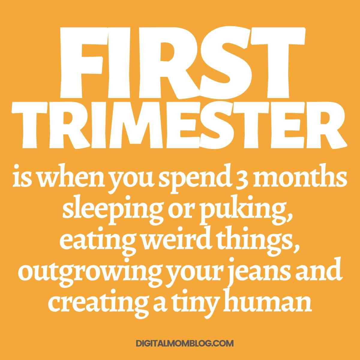 50 Hilarious Pregnancy Memes Every Mom-to-Be Will Relate To