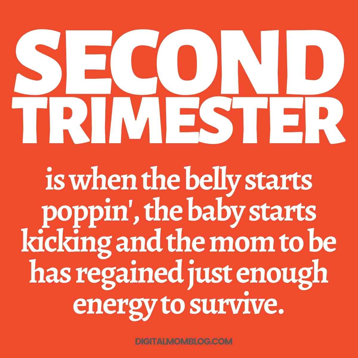 50 Hilarious Pregnancy Memes Every Mom-to-Be Will Relate To