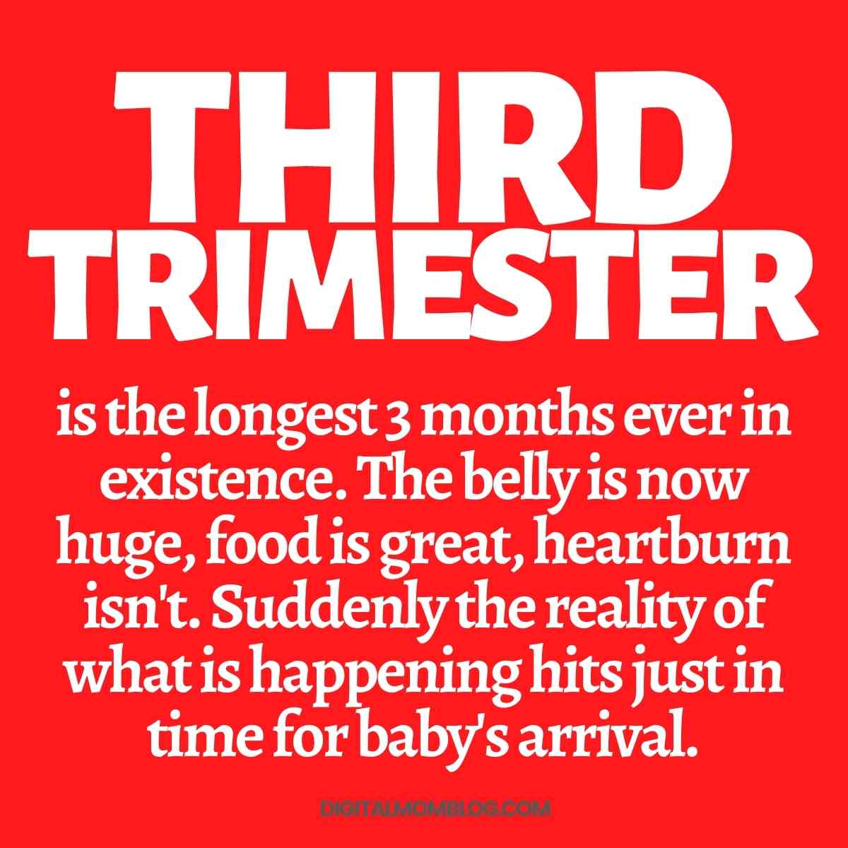 50 Hilarious Pregnancy Memes Every Mom-to-Be Will Relate To