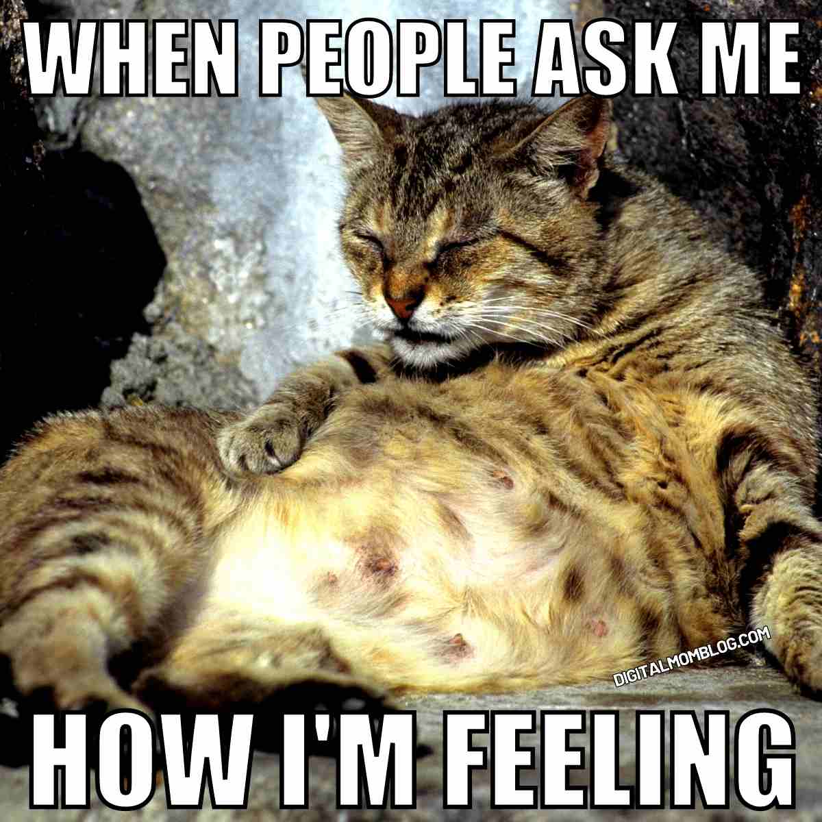 50 Hilarious Pregnancy Memes Every Mom-to-Be Will Relate To