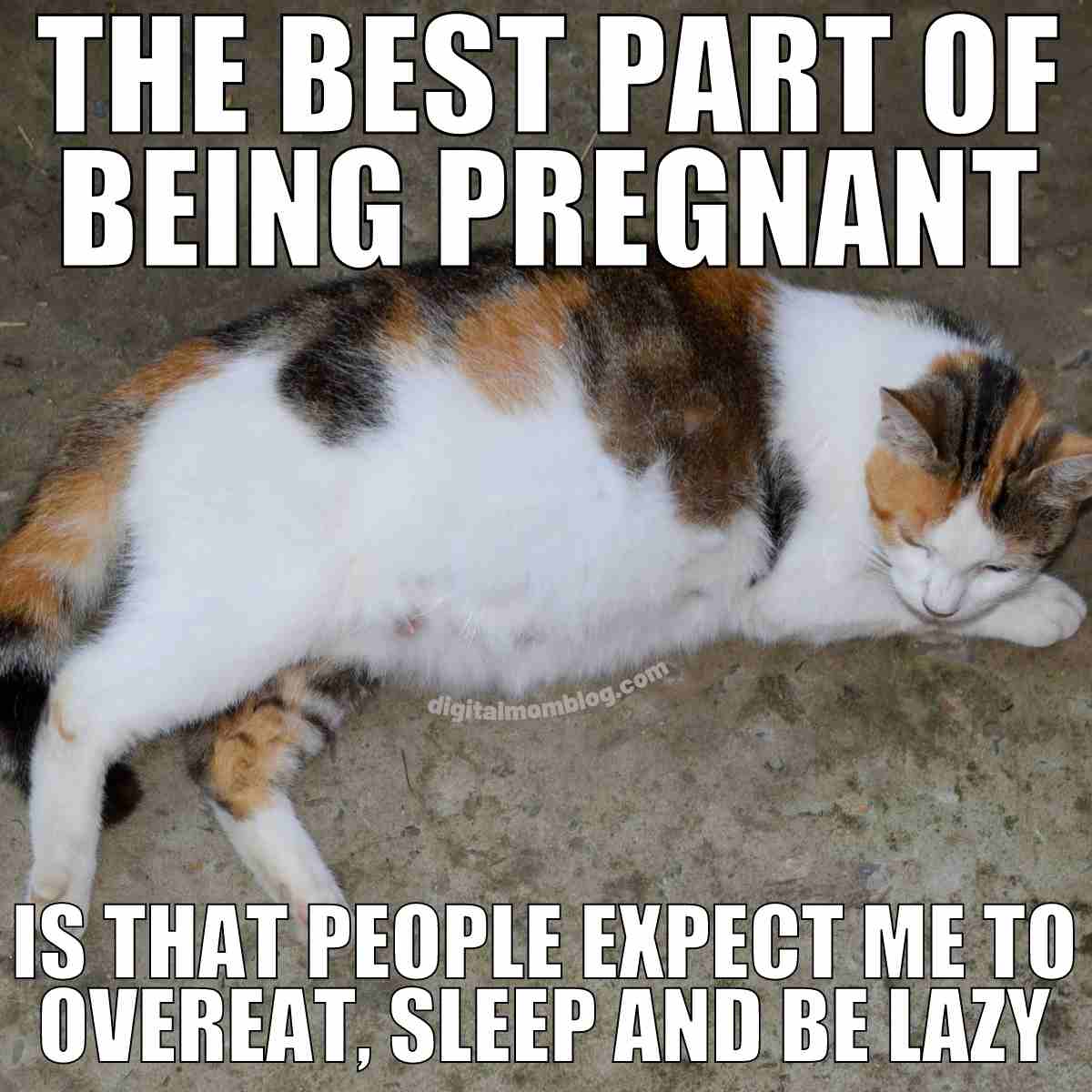 50 Hilarious Pregnancy Memes Every Mom-to-Be Will Relate To