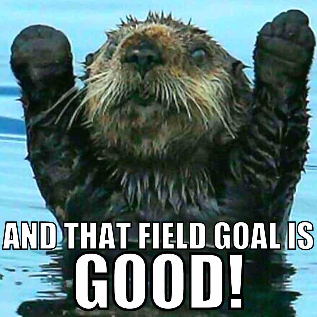 Funny Football Memes For Game Day Laughs