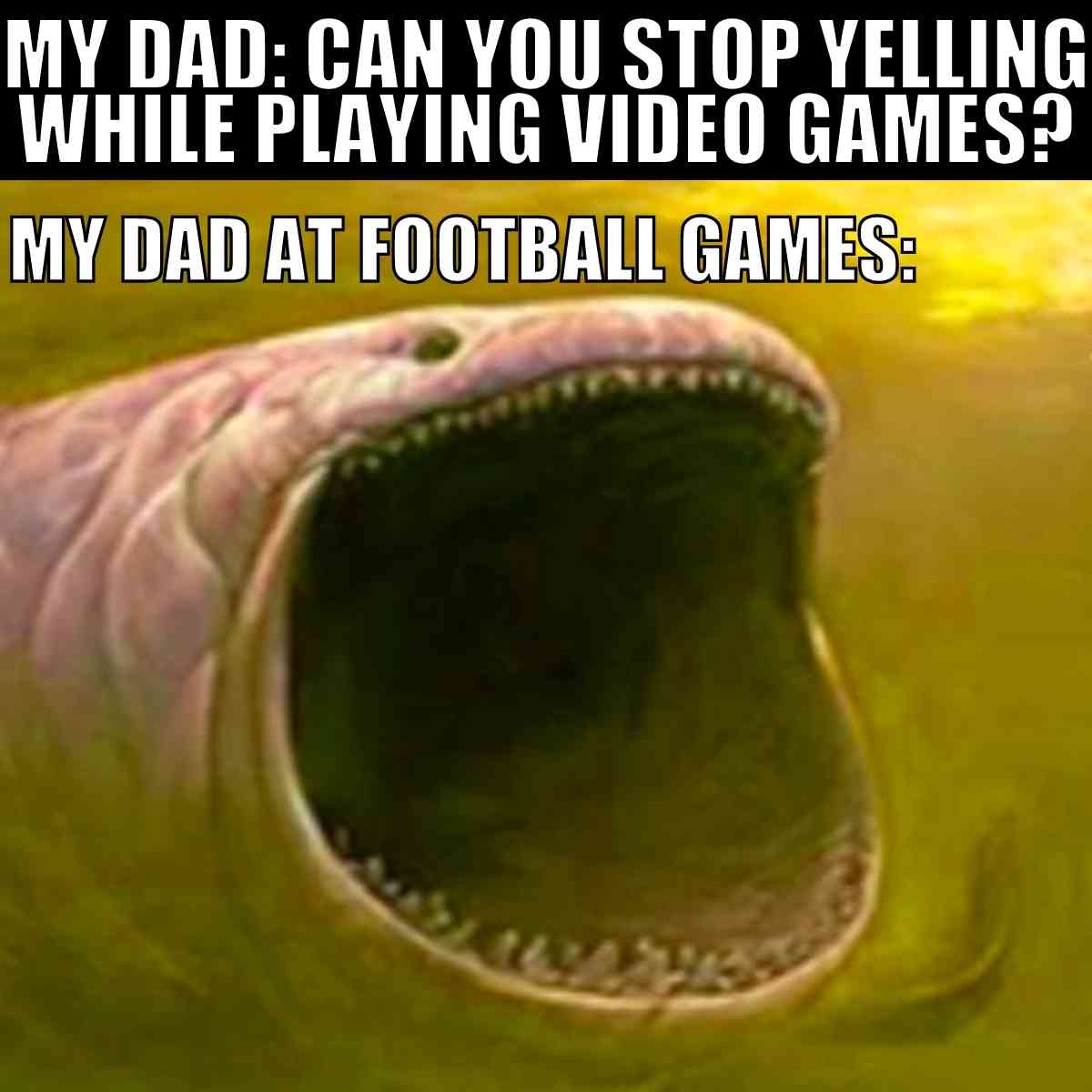 Funny Football Memes For Game Day Laughs