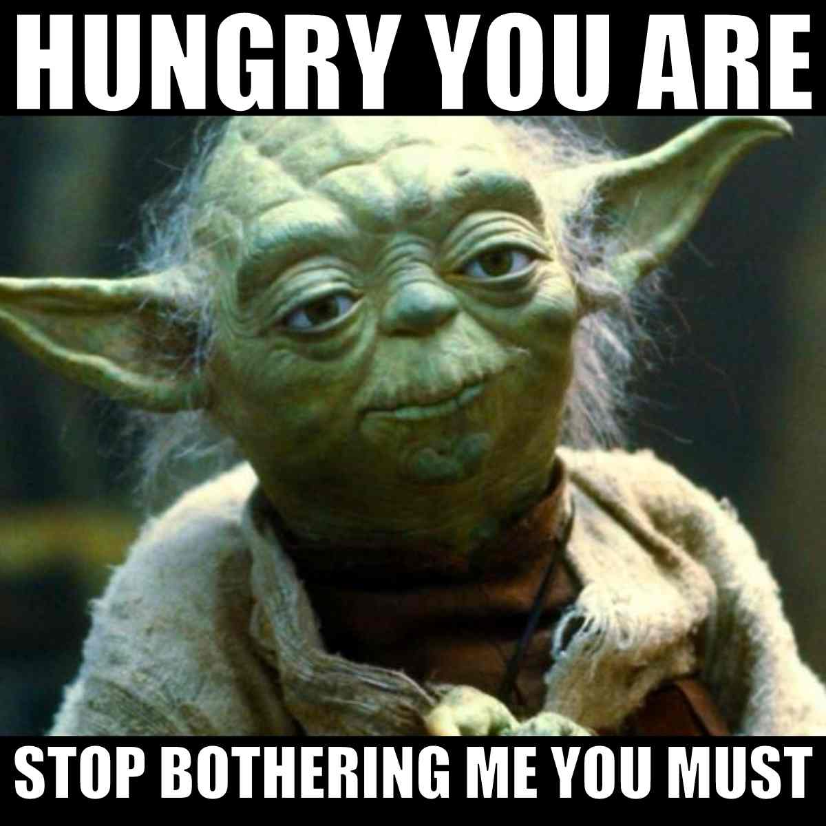 30 Funny Hungry Memes And Images For When You Need Food