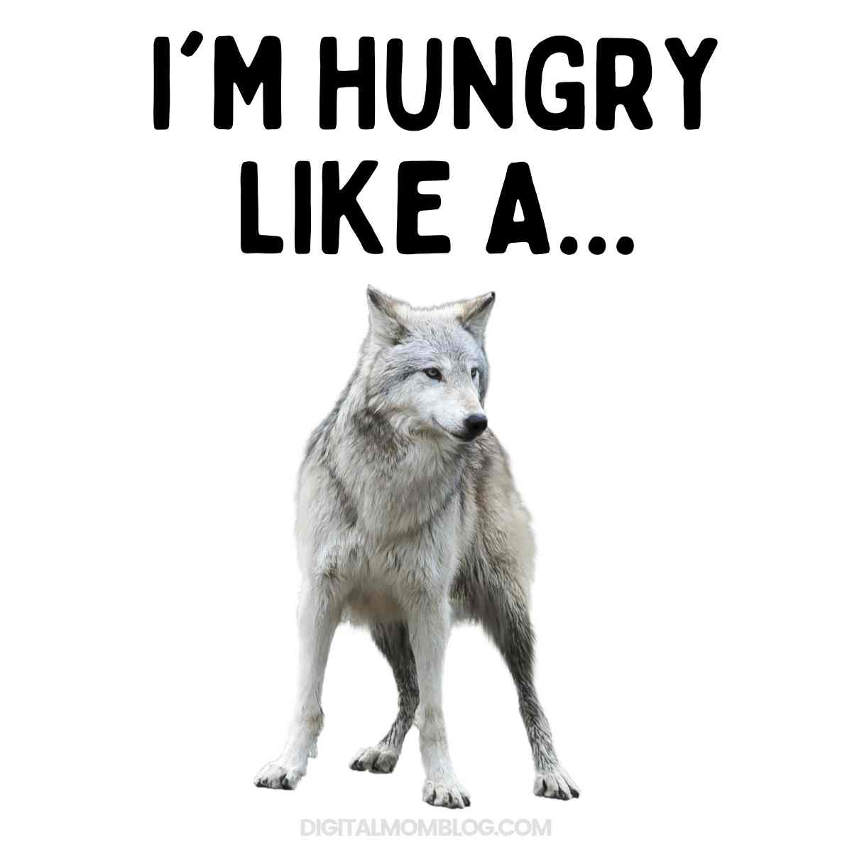 30 Funny Hungry Memes And Images For When You Need Food