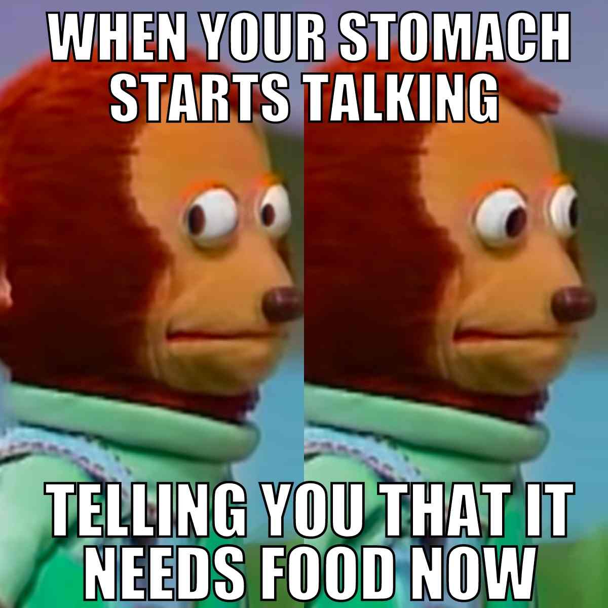 30 Funny Hungry Memes And Images For When You Need Food