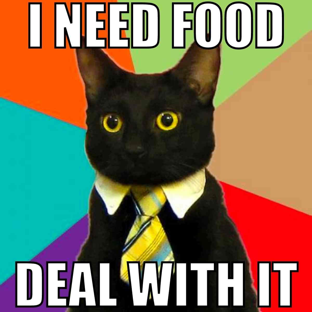 30 Funny Hungry Memes And Images For When You Need Food