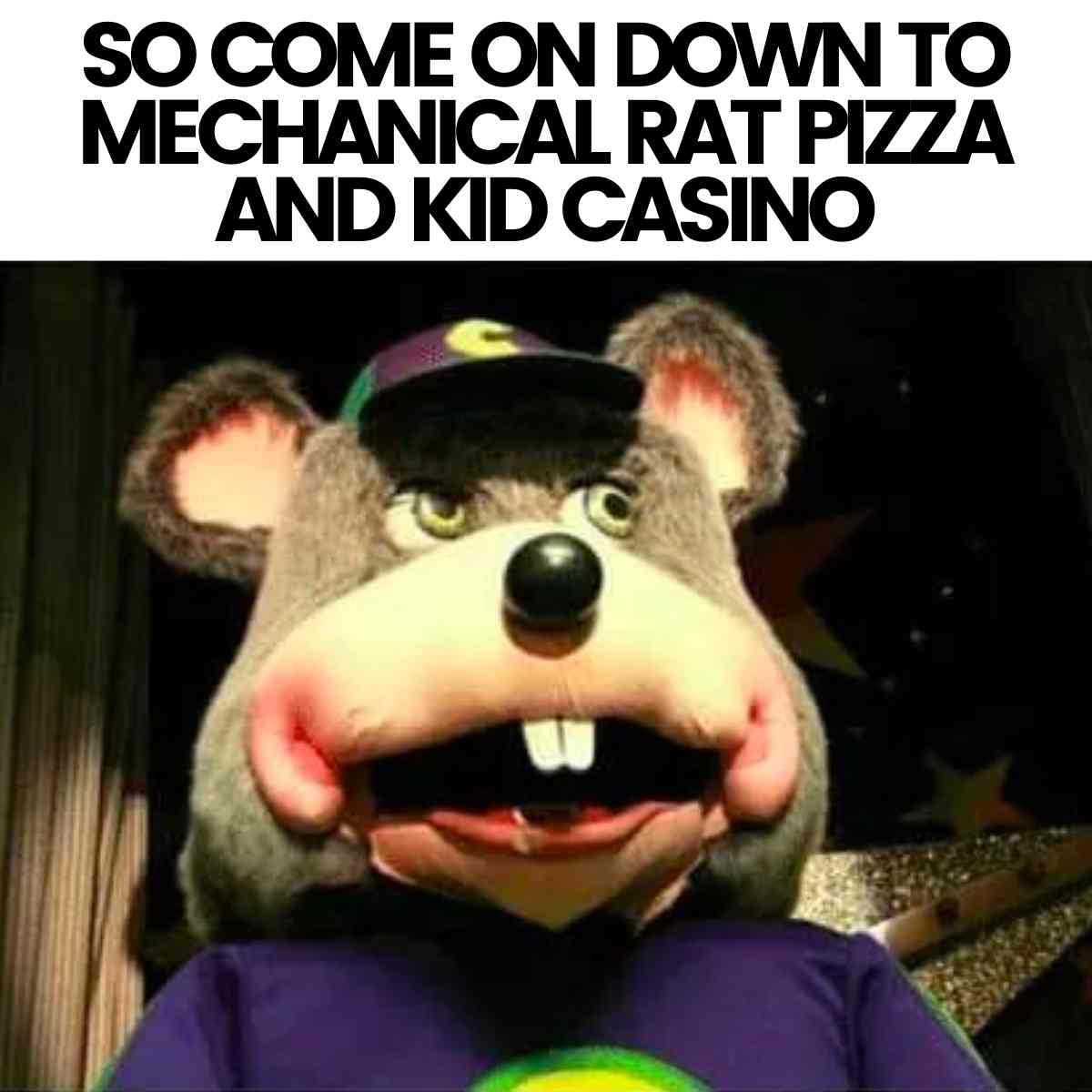 17 Funny Rat Memes And Images About These Pesty Rodents