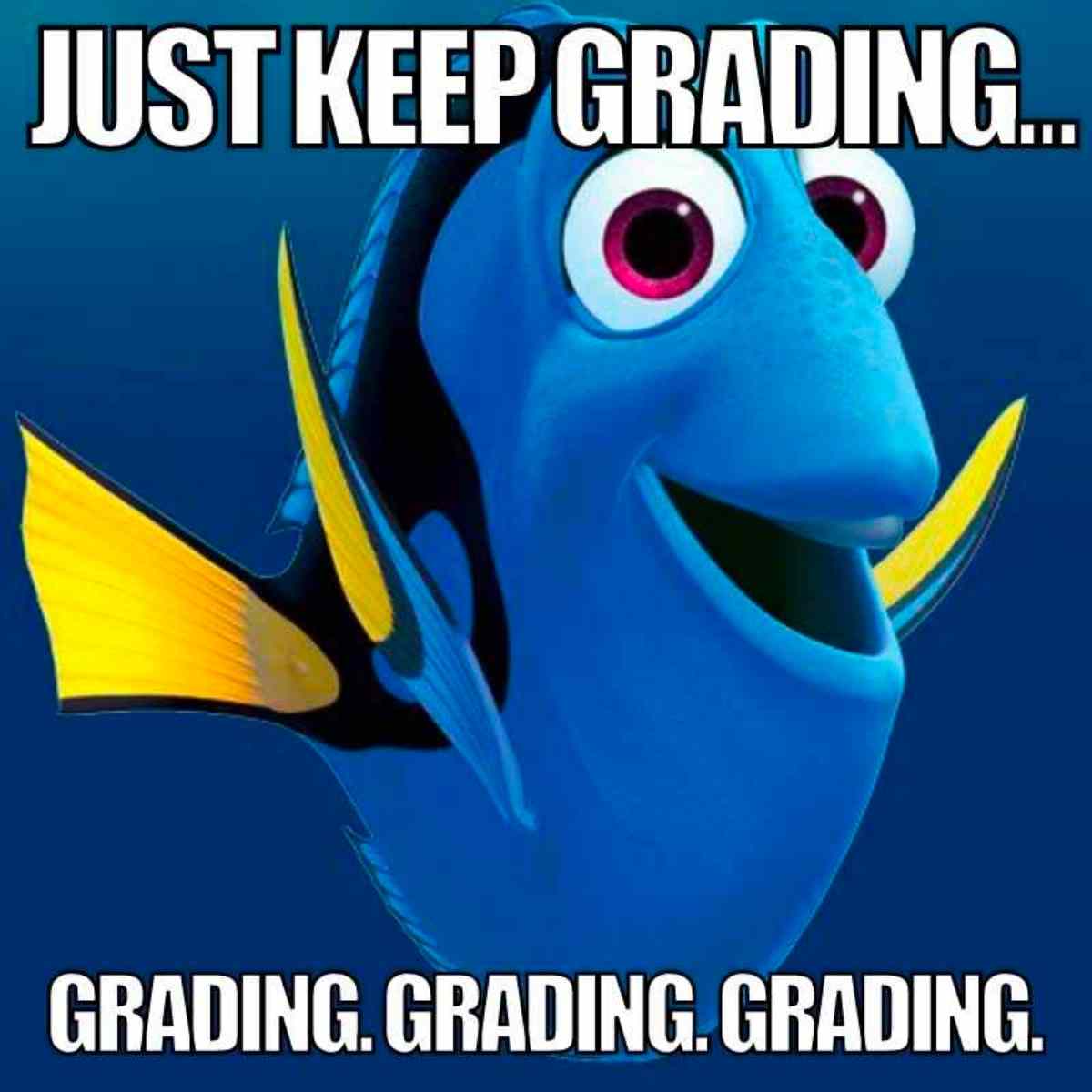 10 Grading Memes That Perfectly Sum Up Teacher Life