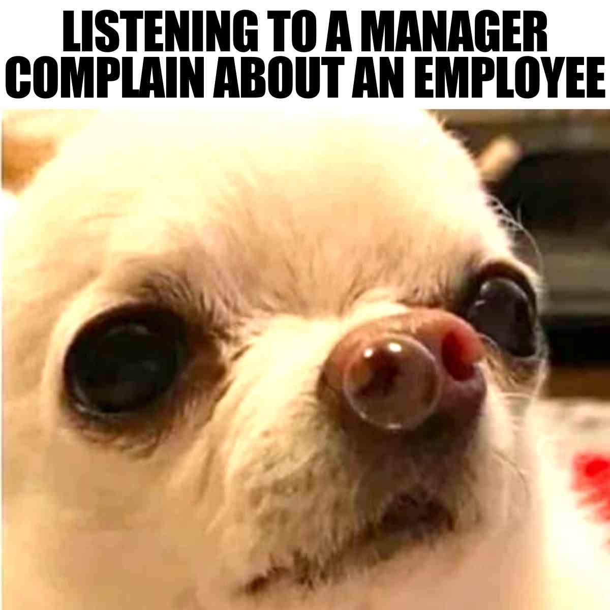 37 Relatable HR Memes Every Human Resource Worker Will Love