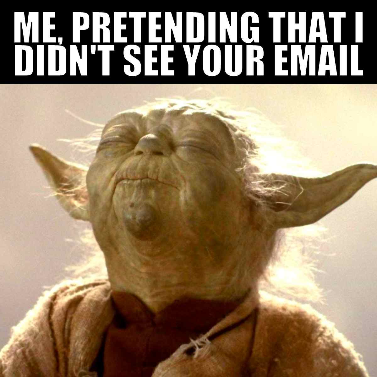 40 Hilarious Email Memes That Capture The Inbox Struggle