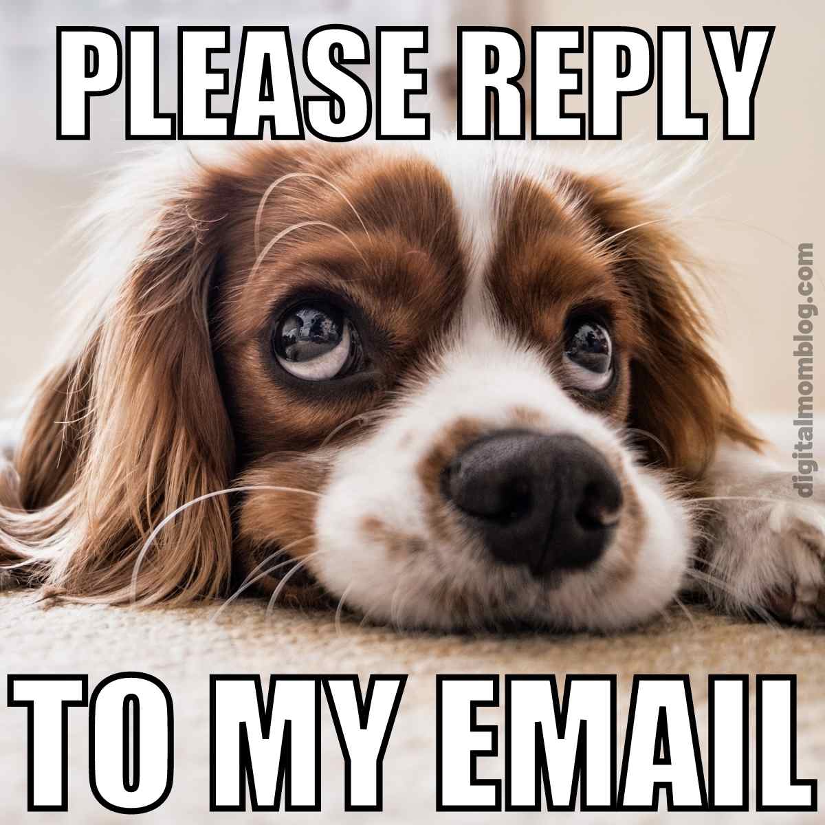40 Hilarious Email Memes That Capture The Inbox Struggle