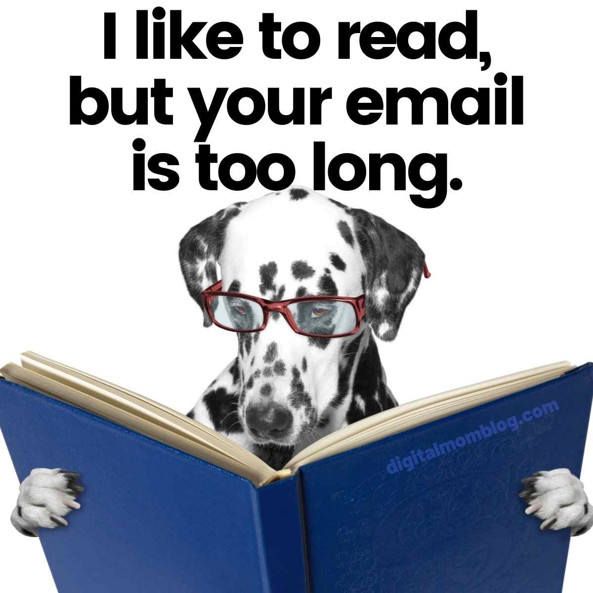 40 Hilarious Email Memes That Capture The Inbox Struggle