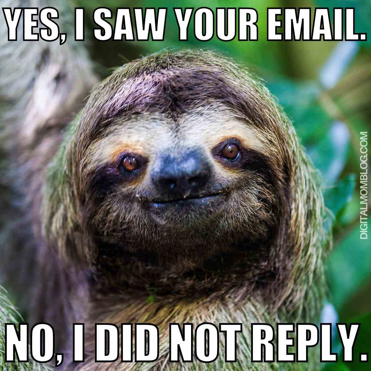 40 Hilarious Email Memes That Capture The Inbox Struggle