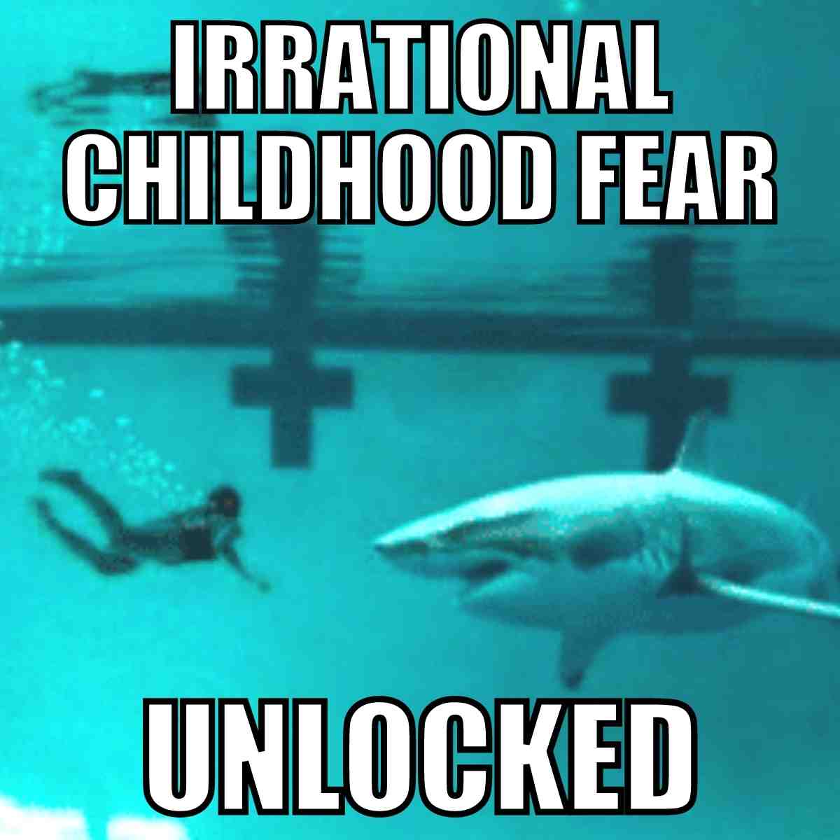 25 Funny Shark Memes To Sink Your Teeth Into