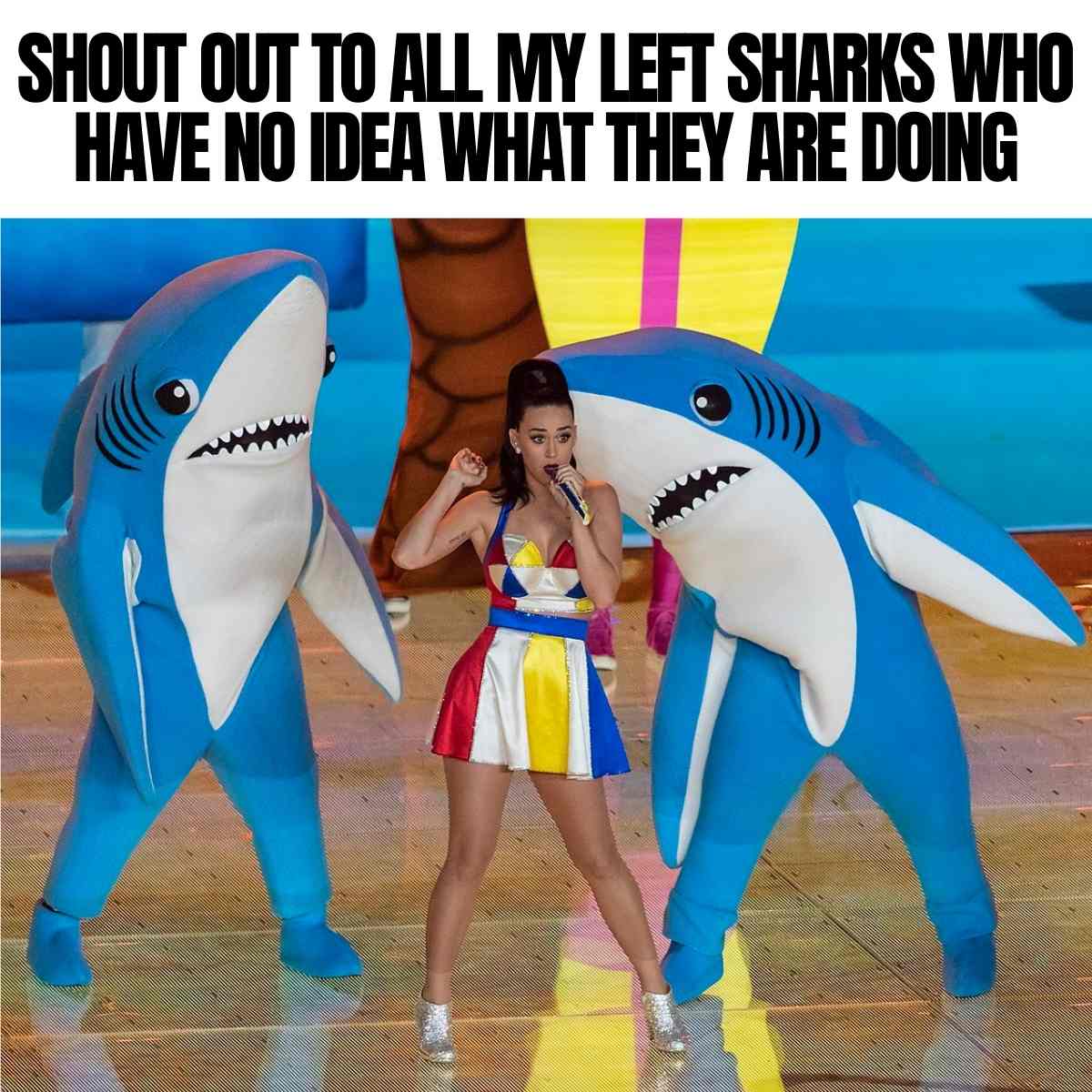 25 Funny Shark Memes To Sink Your Teeth Into