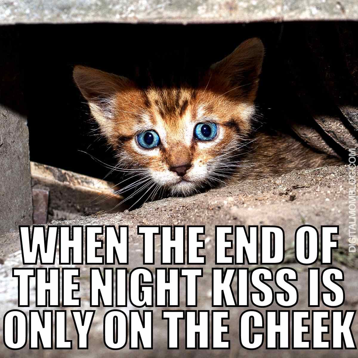 30 Kissing Memes That Perfectly Define Relationship Goals