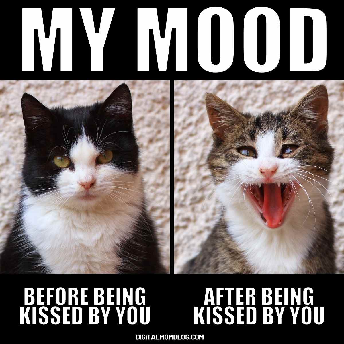 30 Kissing Memes That Perfectly Define Relationship Goals