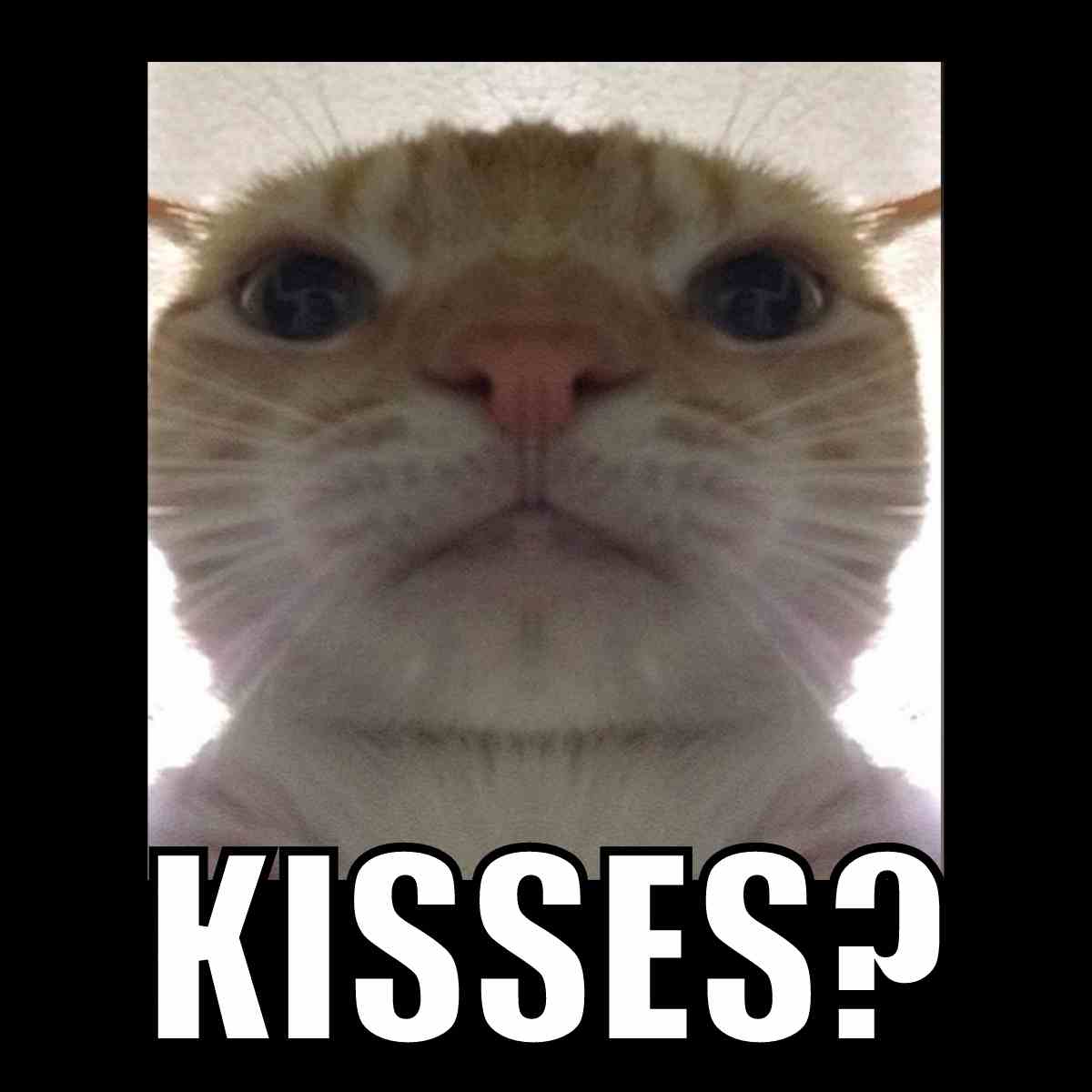 30 Kissing Memes That Perfectly Define Relationship Goals