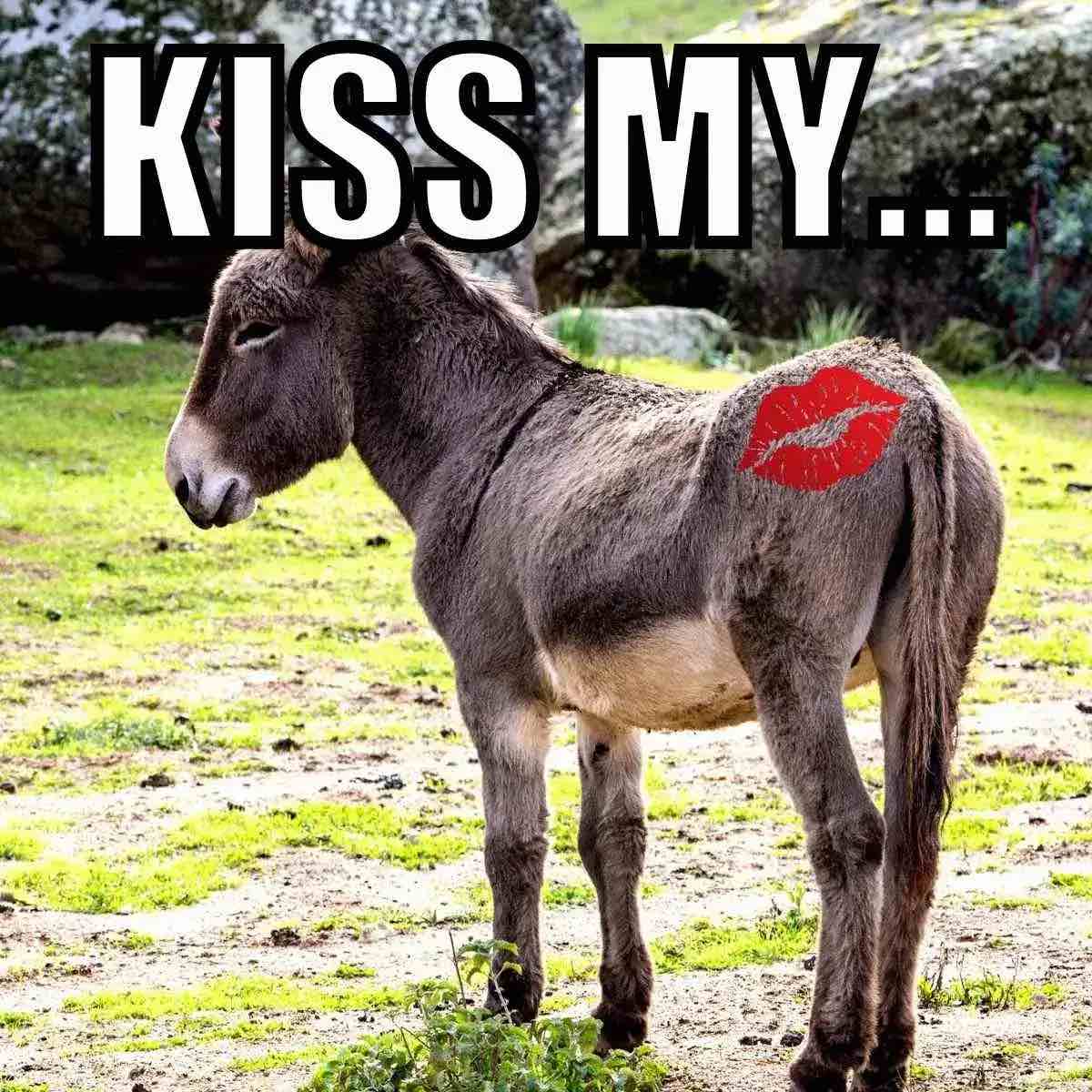 30 Kissing Memes That Perfectly Define Relationship Goals