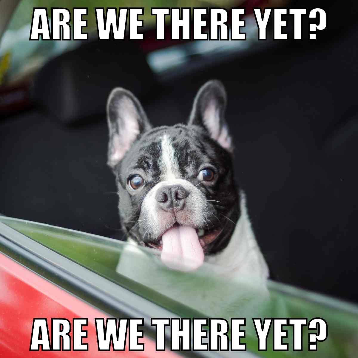 35 Funny Road Trip Memes To Fuel Your Drive With Laughter