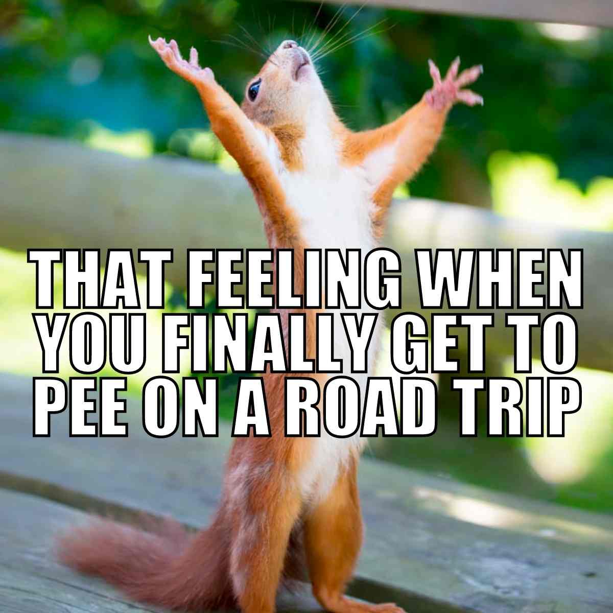 35 Funny Road Trip Memes To Fuel Your Drive With Laughter