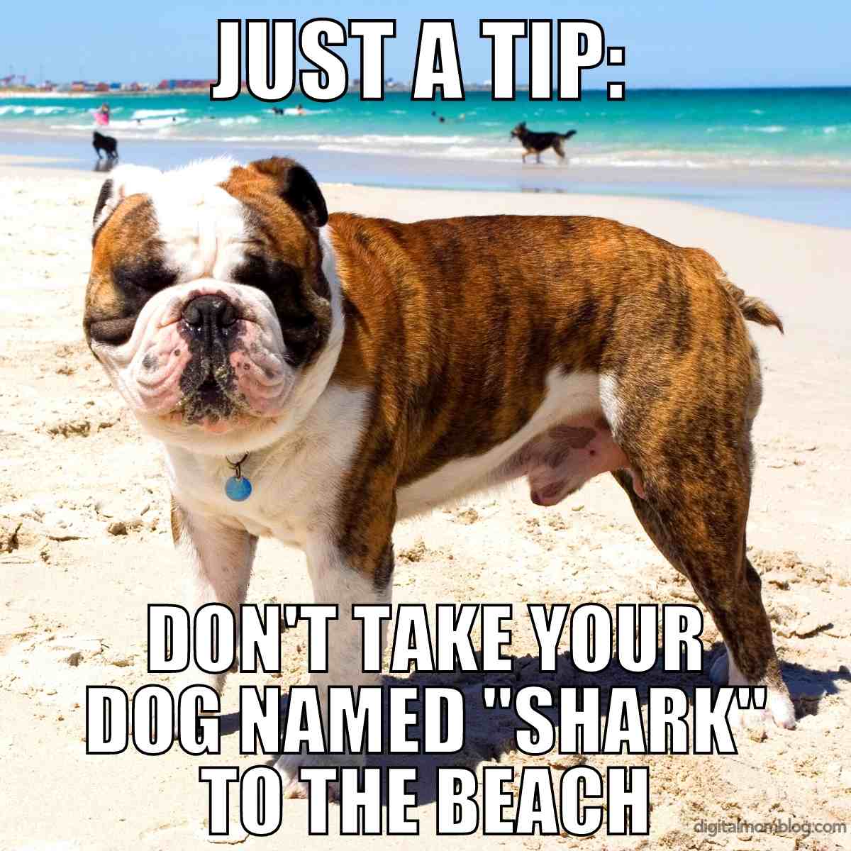 Top 20 Beach Memes That Perfectly Capture Your Summer Vibes