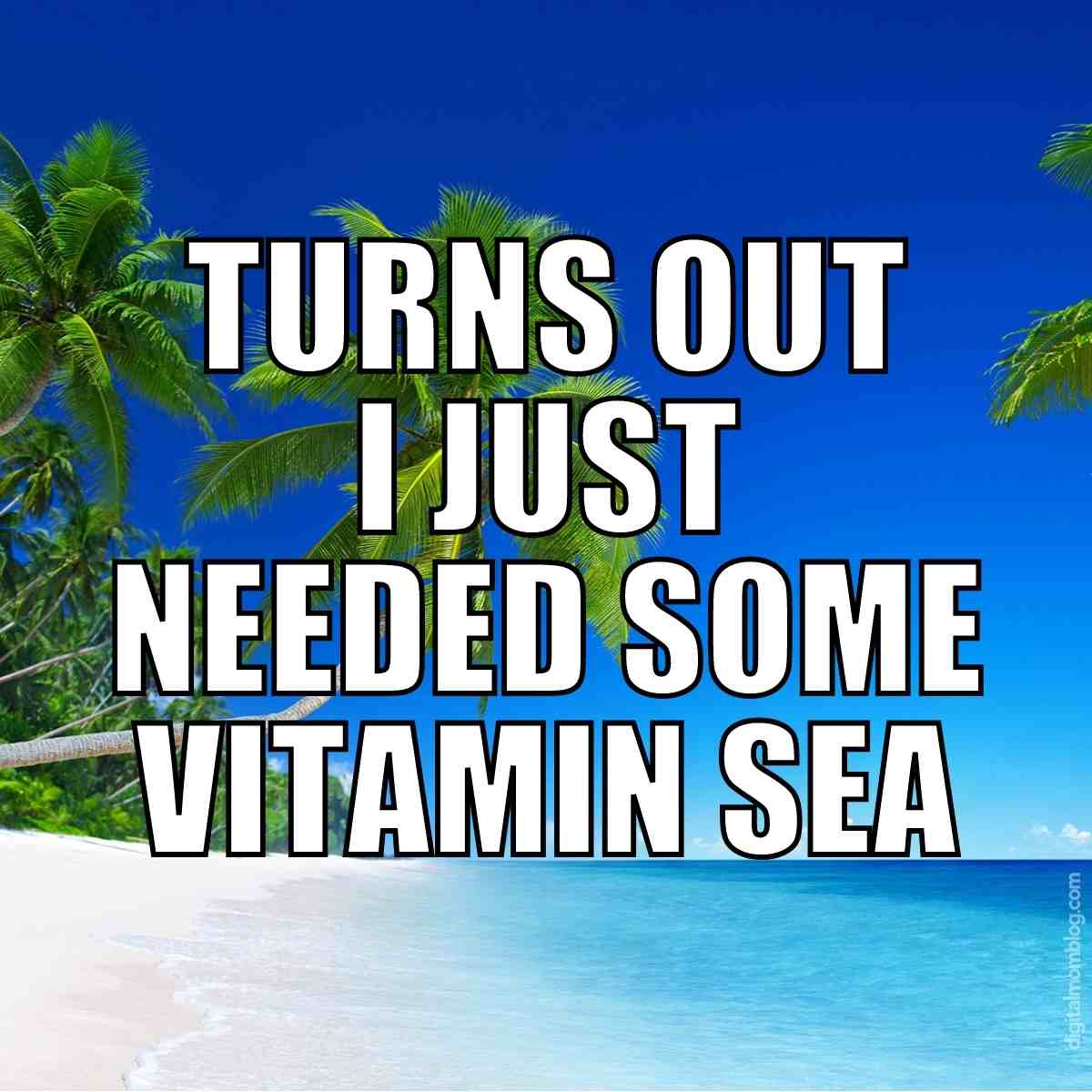 Top 20 Beach Memes That Perfectly Capture Your Summer Vibes