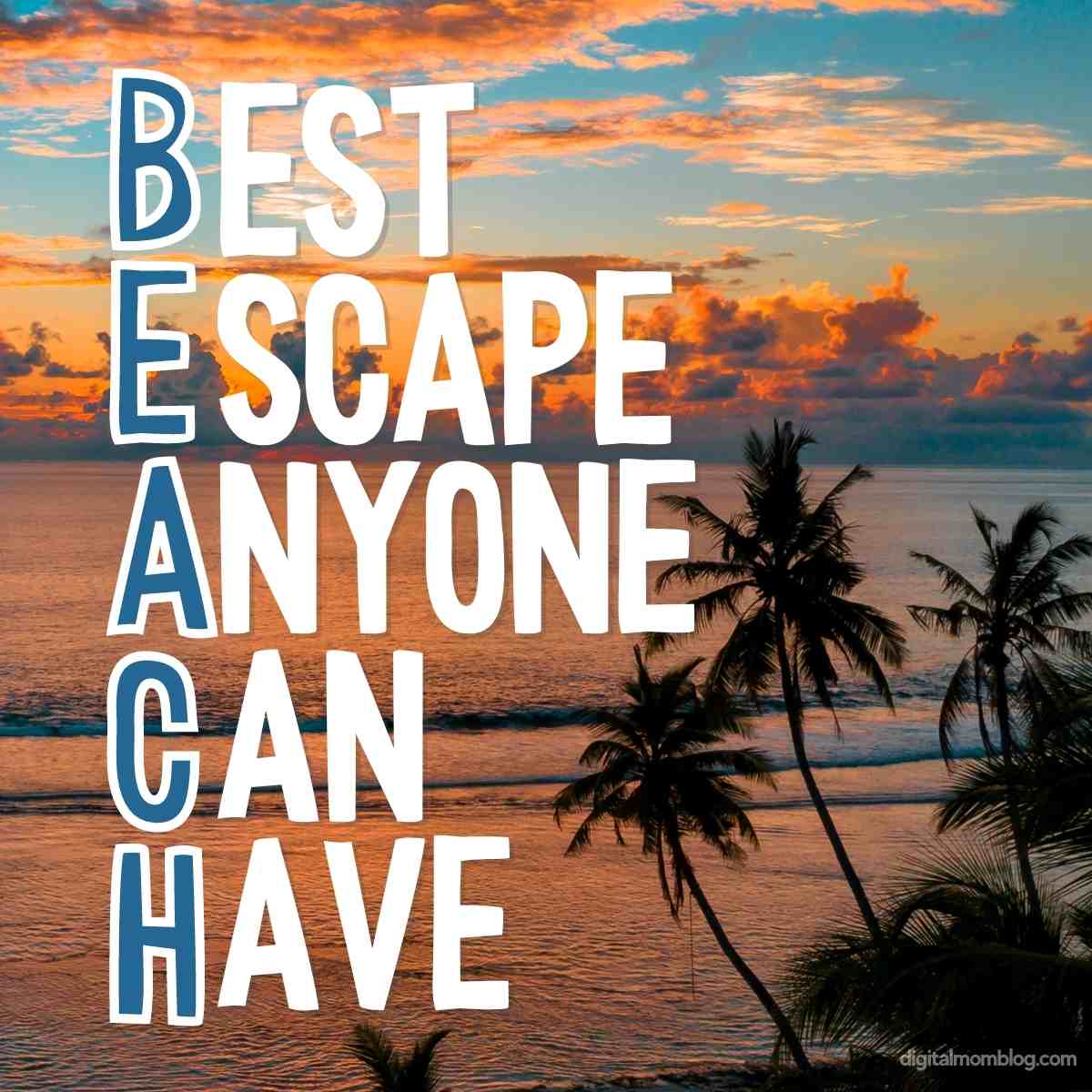 Top 20 Beach Memes That Perfectly Capture Your Summer Vibes