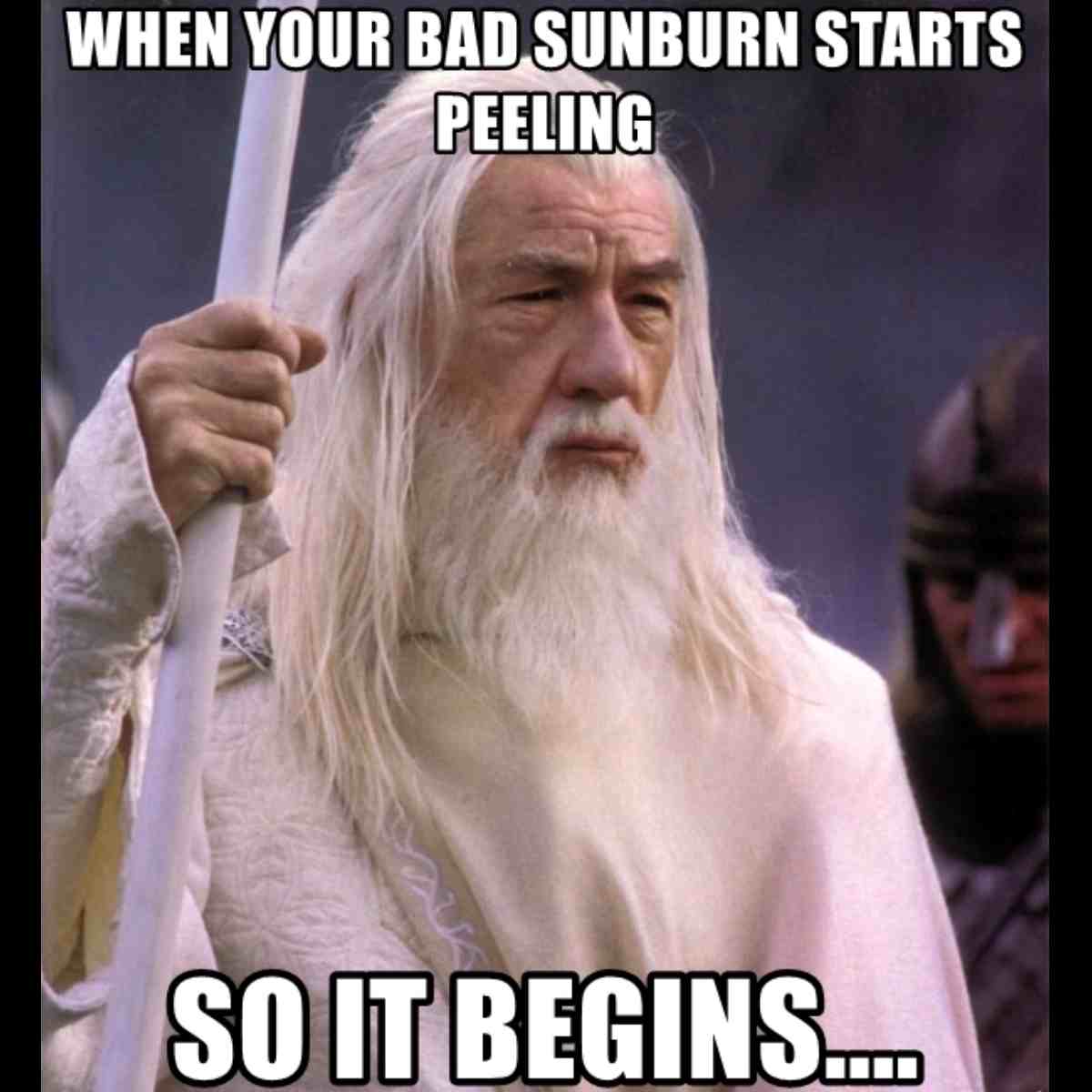 Top 20 Beach Memes That Perfectly Capture Your Summer Vibes