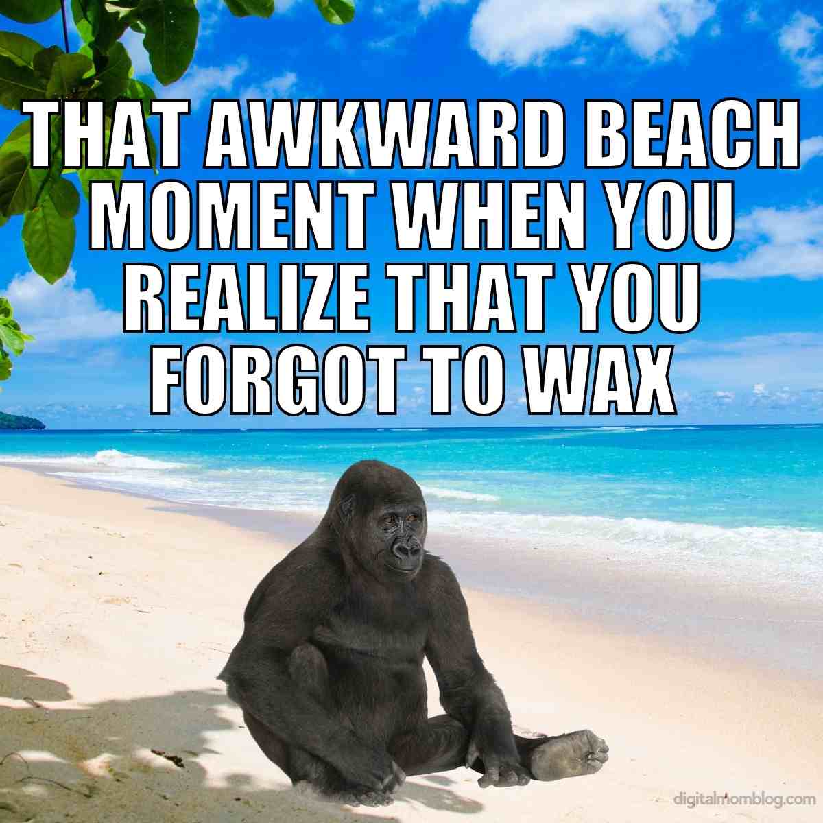 Top 20 Beach Memes That Perfectly Capture Your Summer Vibes