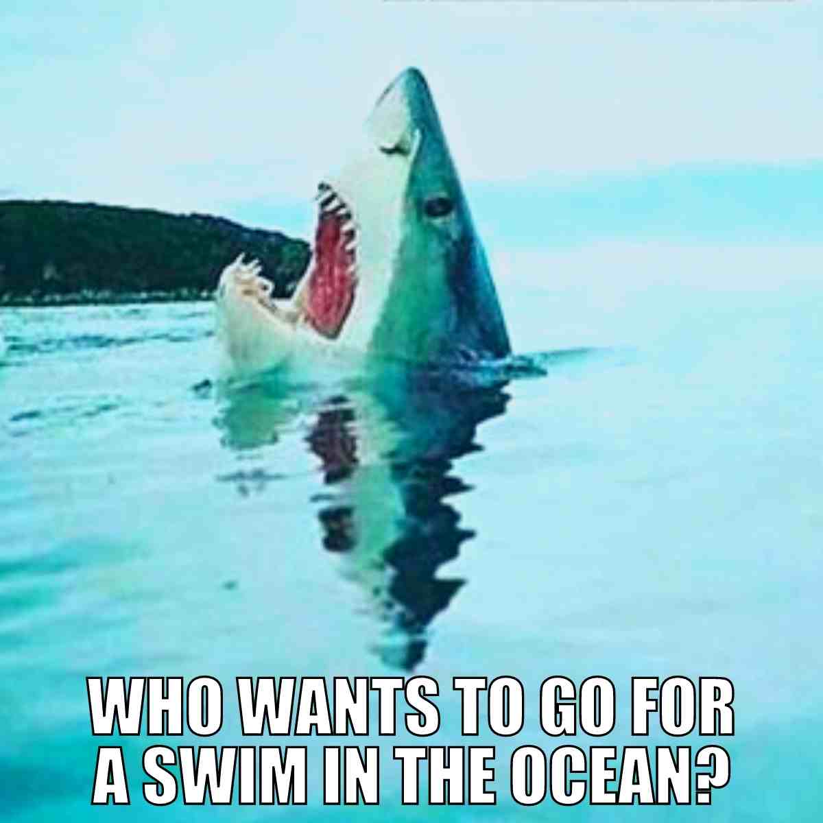 Top 20 Beach Memes That Perfectly Capture Your Summer Vibes