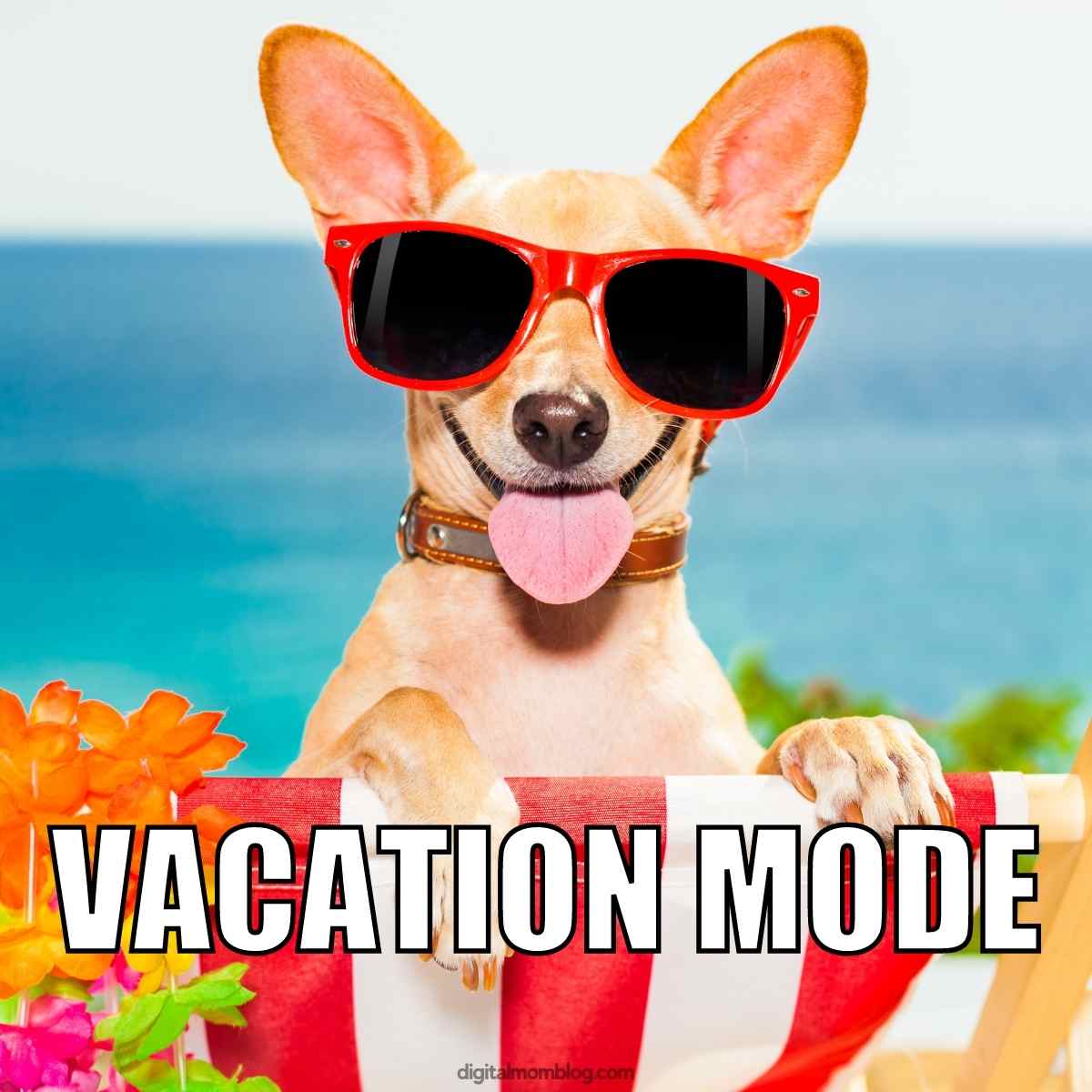 65 Top Vacation Memes And Images: Travel Humor Galore!