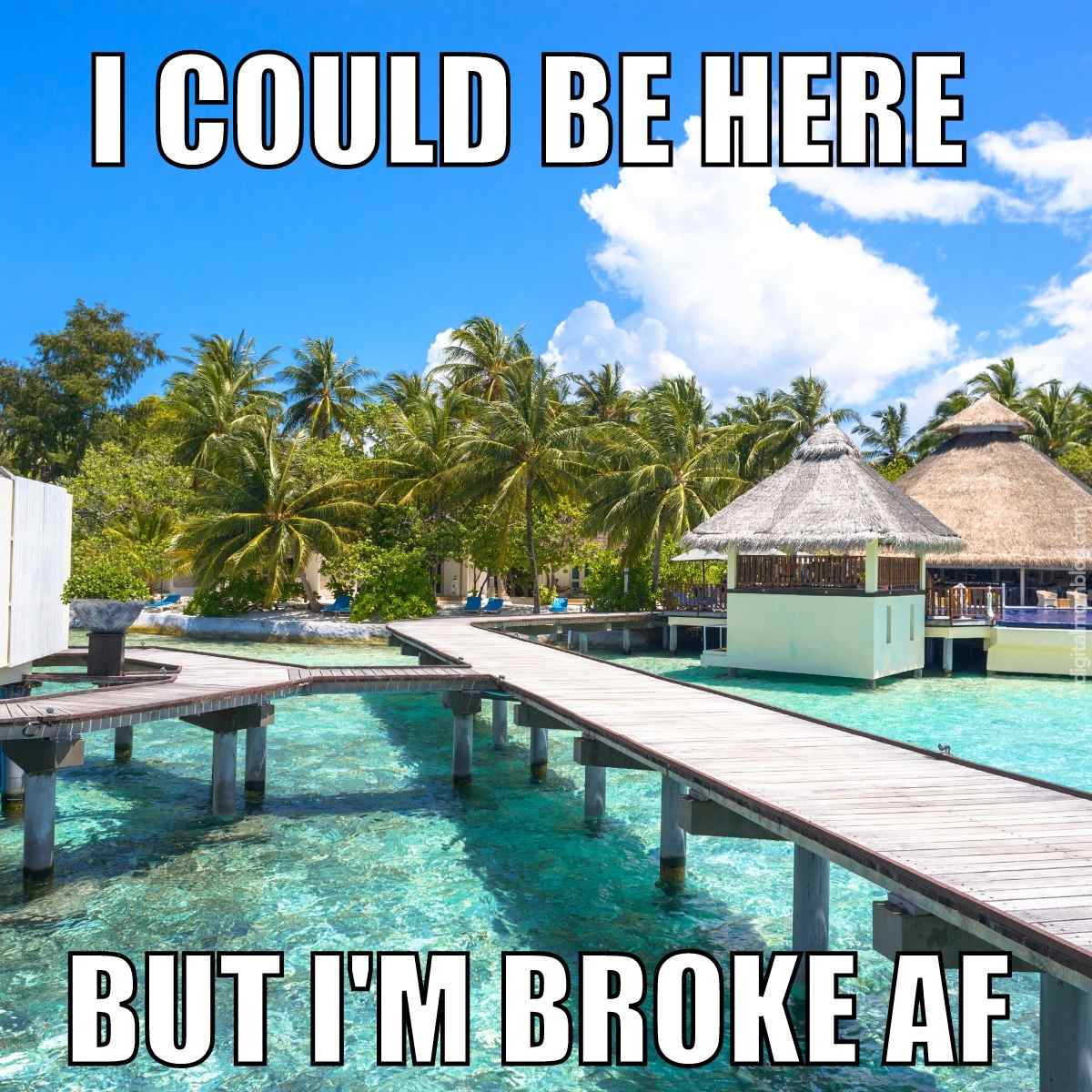 Top 20 Beach Memes That Perfectly Capture Your Summer Vibes