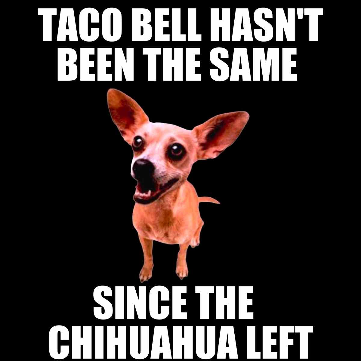 Funny Taco Bell Memes About Running To The Bell
