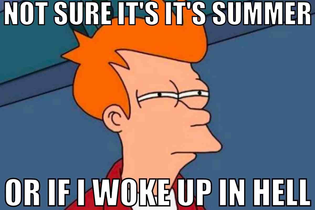 The Best Summer Memes And Images For The Hot 2024 Season