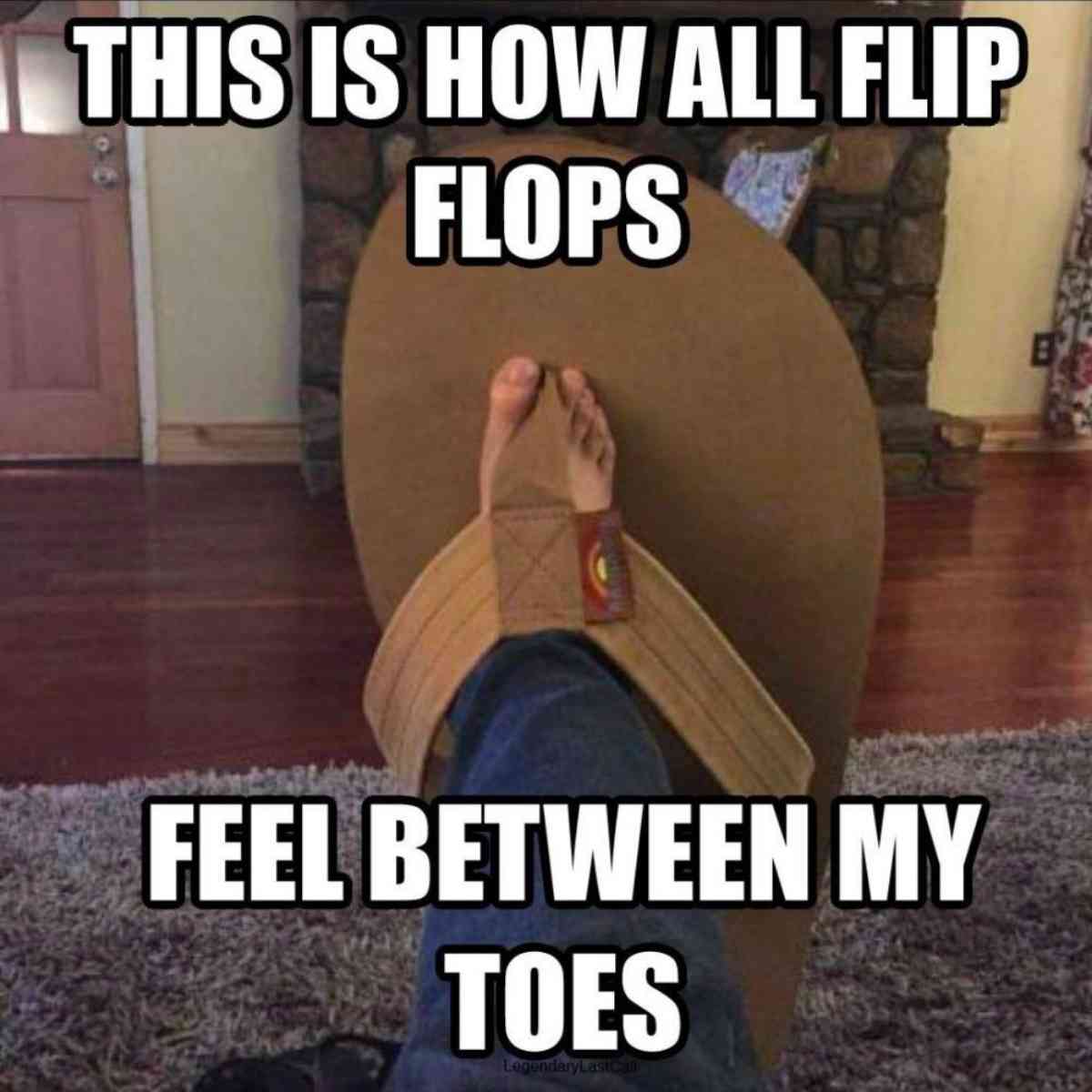 The Best Summer Memes And Images For The Hot 2024 Season