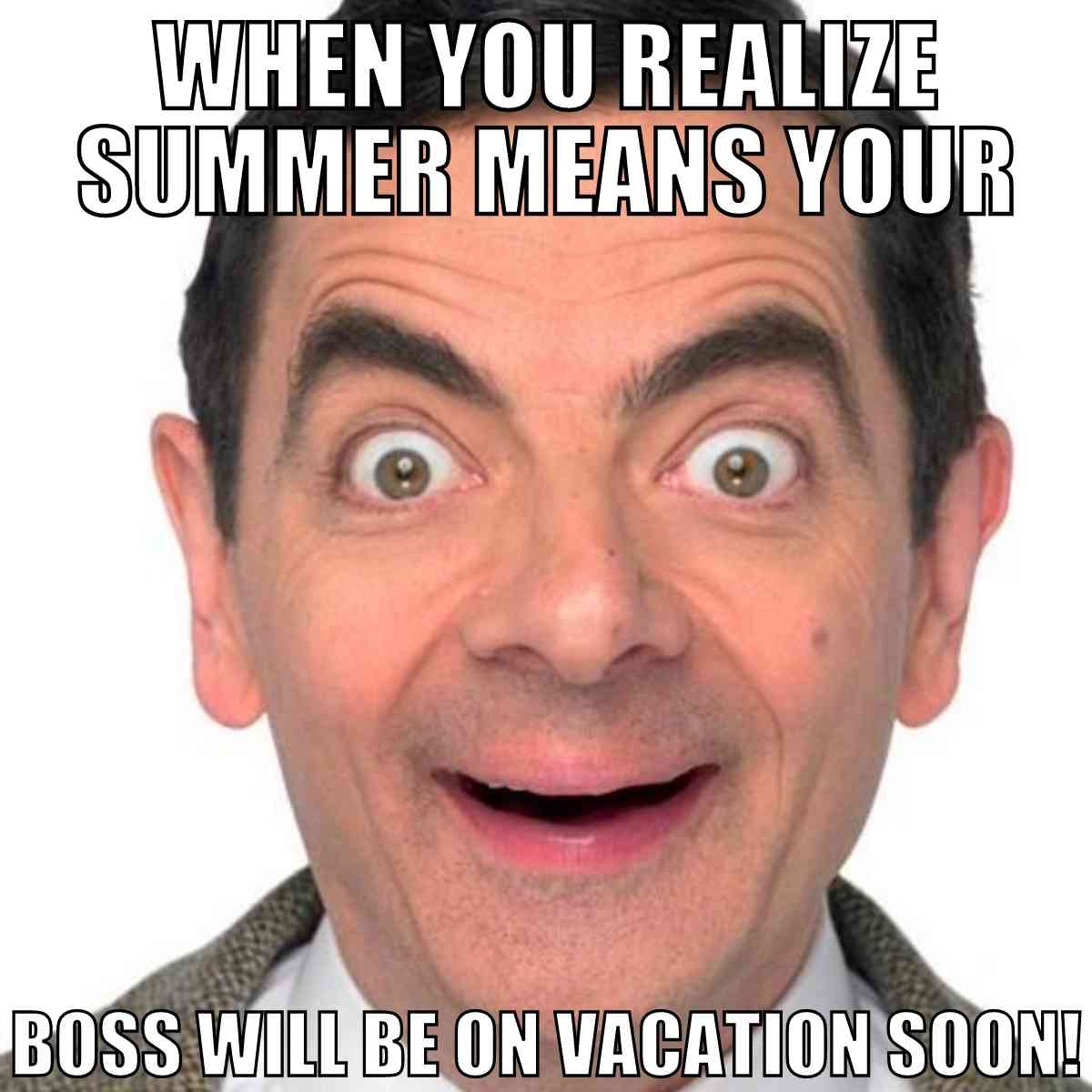 The Best Summer Memes And Images For The Hot 2024 Season