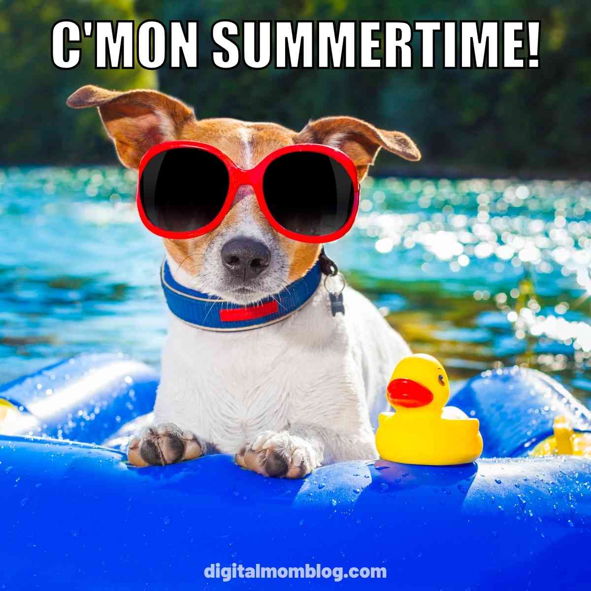 The Best Summer Memes And Images For The Hot 2024 Season